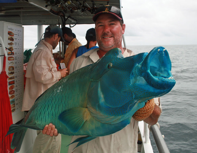 Click on an image to view a larger image.