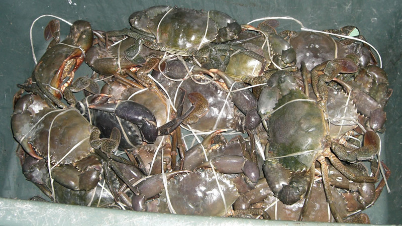 Click on an image to view a larger image.