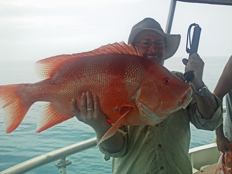 Click on an image to view a larger image.