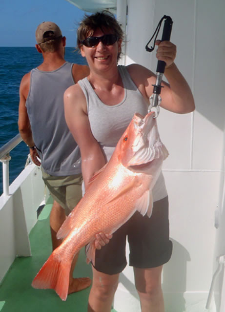 Click on an image to view a larger image.